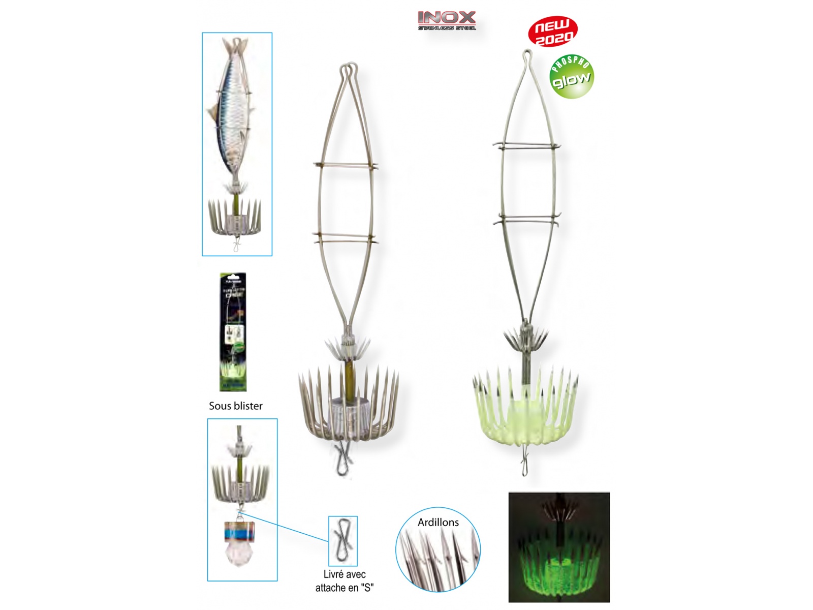 Pêcher le calamar rouge à l’appât