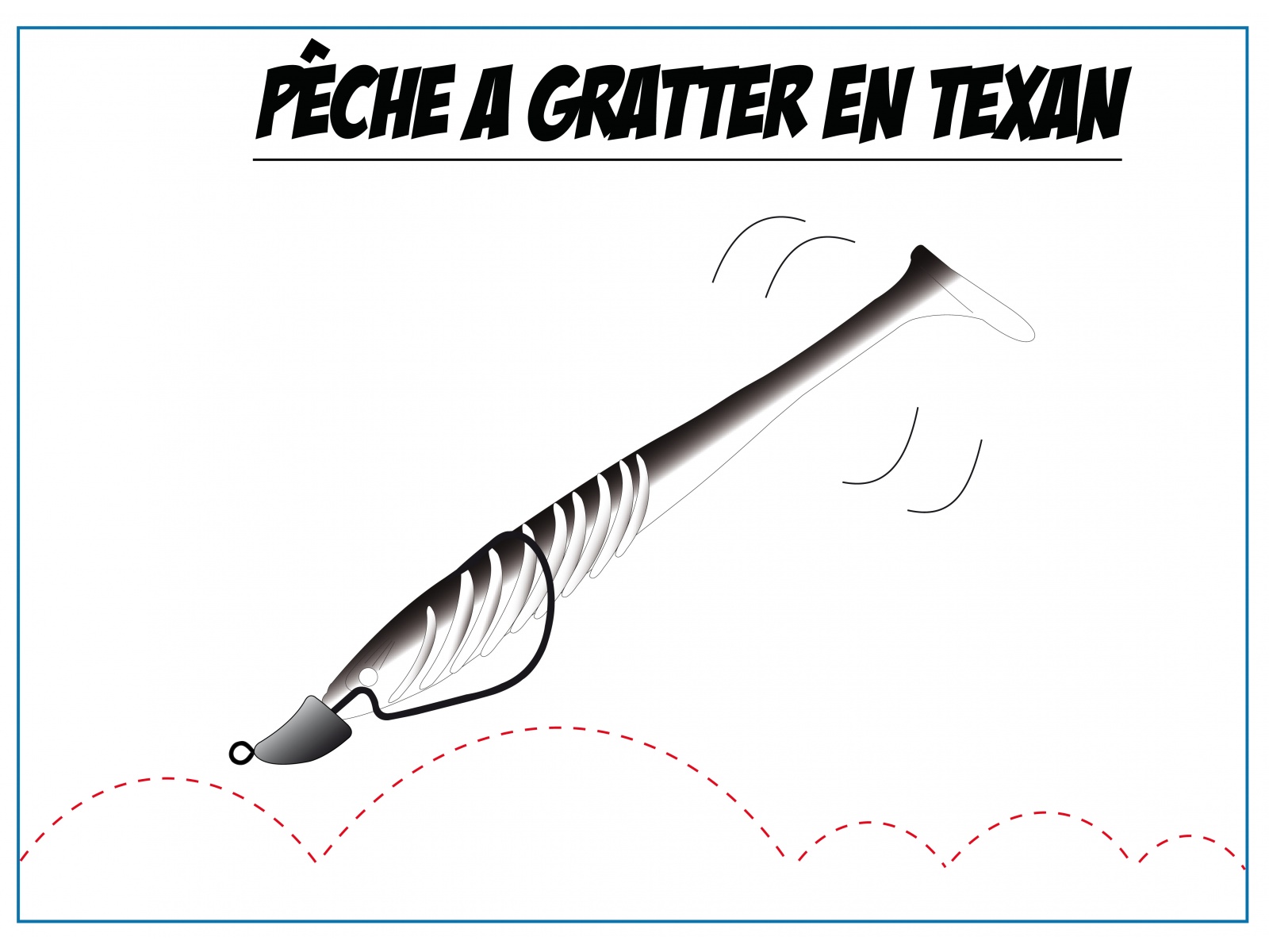 Bar au shad en texan du bord