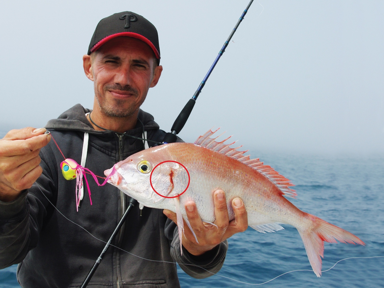 Pêche de le Pageot : informations, techniques, matériel