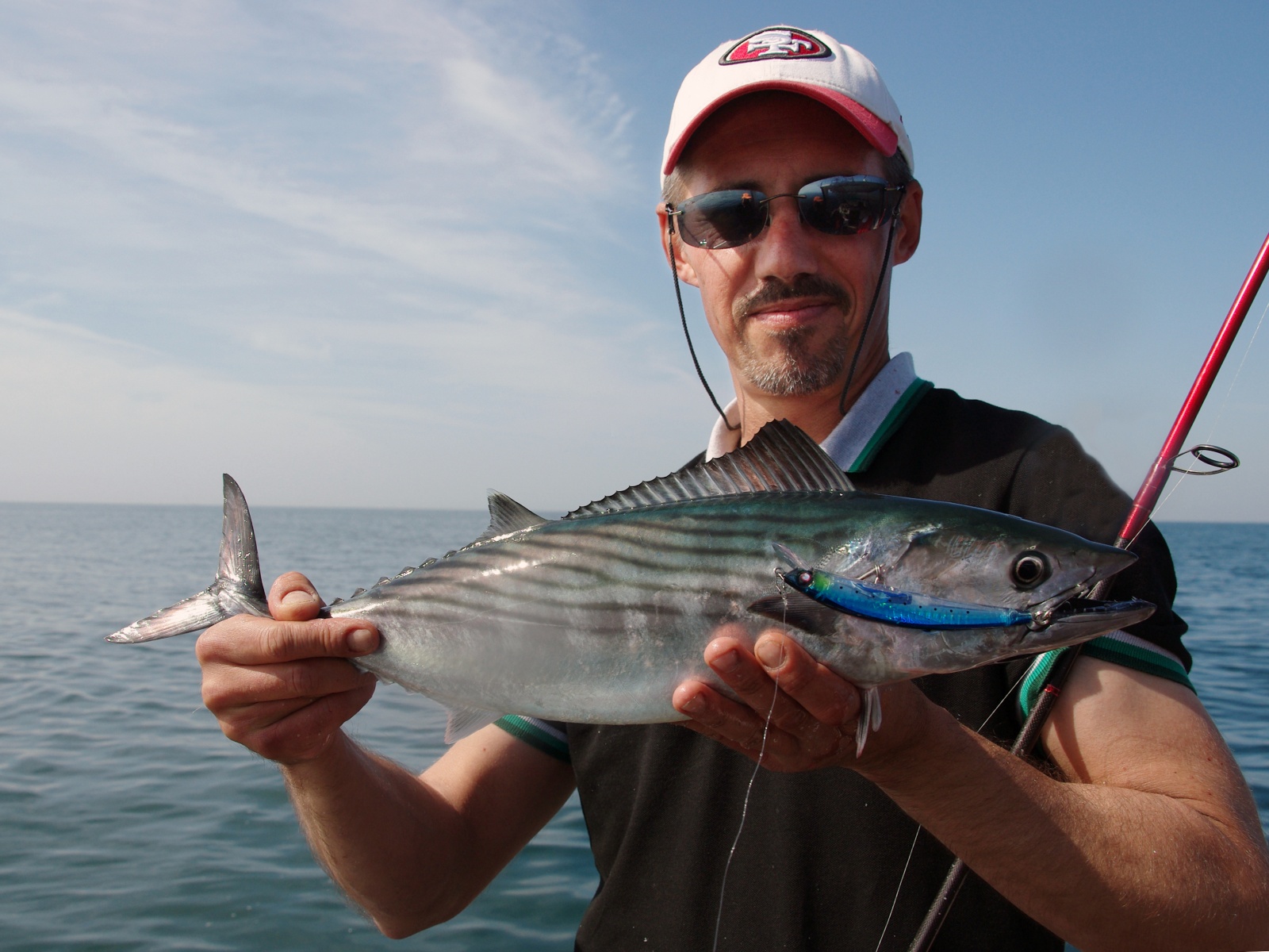 Poissons nageurs : une sélection au top pour les chasses de bonites
