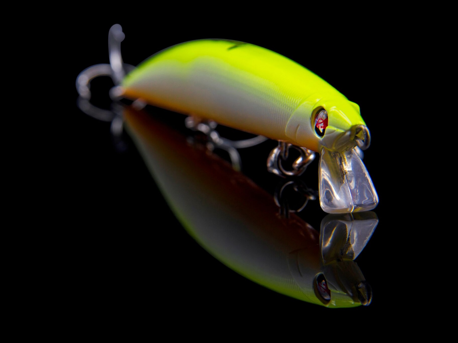 Nemesi : des long minnows au top