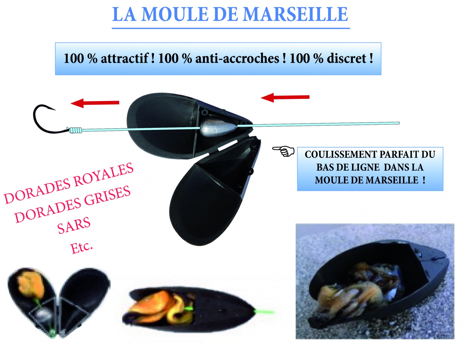 La moule de Marseille Top Sea