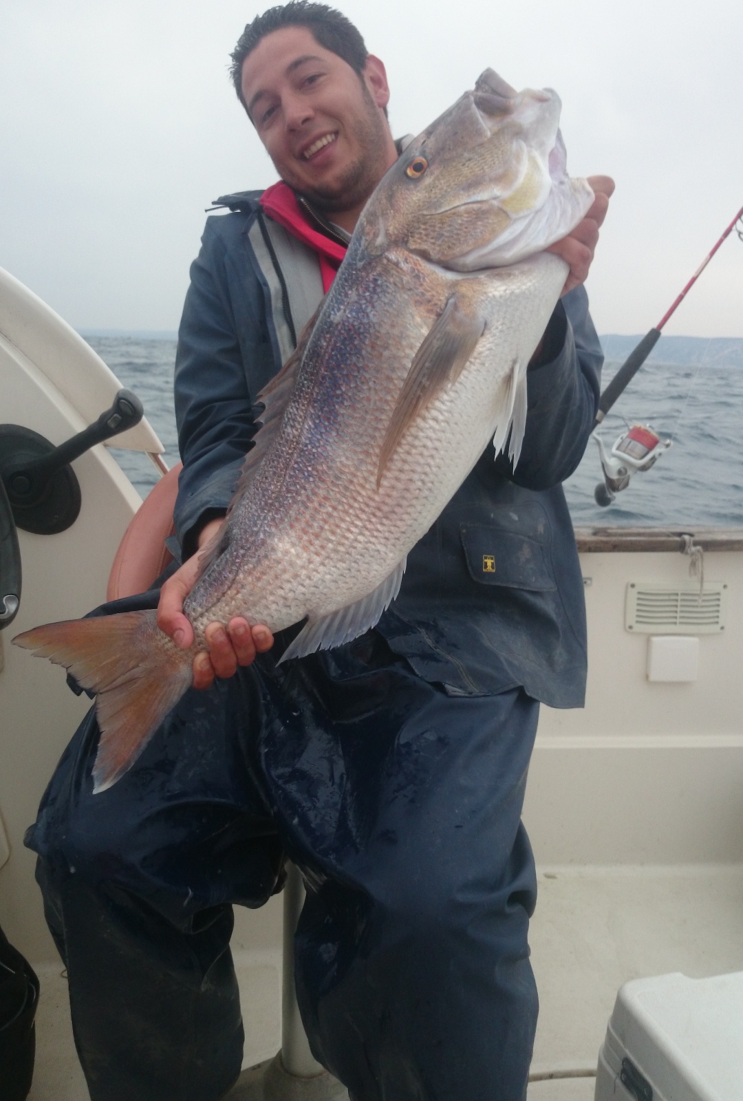 Pêche de le Denti : informations, techniques, matériel