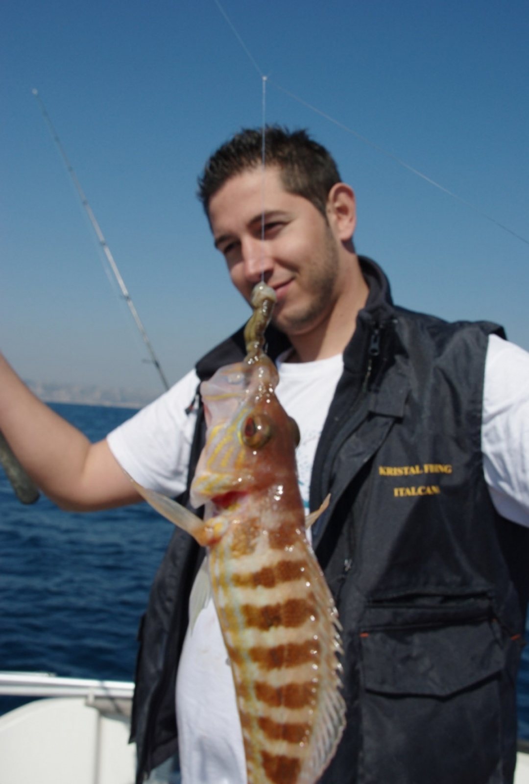 Pêche de le Serran commun : informations, techniques, matériel