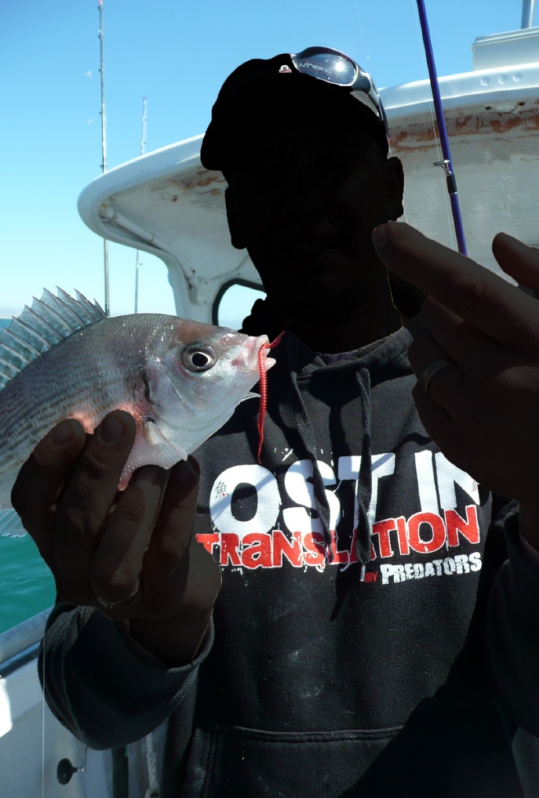 Vers artificiels POWER ISOME Marukyu